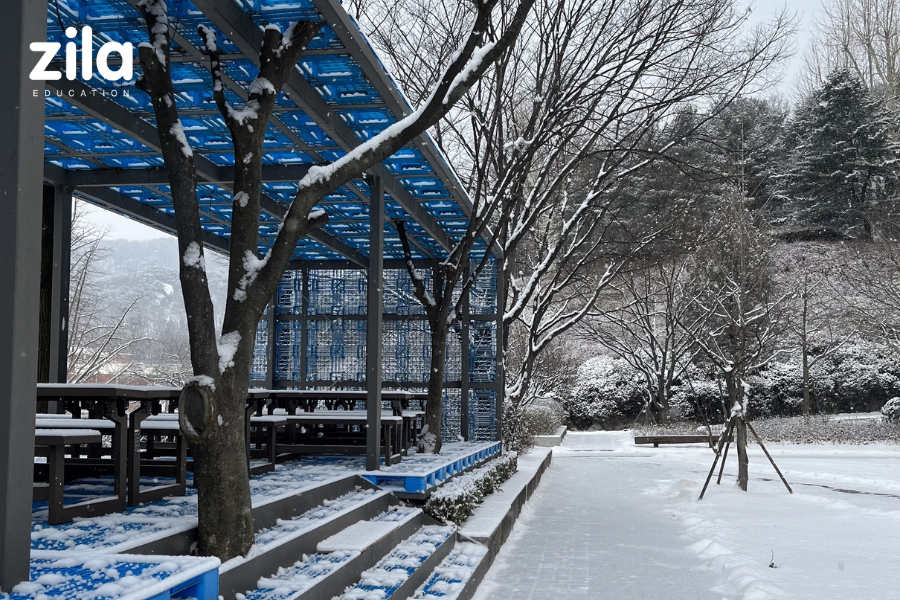 Trường Đại học Kookmin Hàn Quốc (Kookmin University) | Korea.info.vn ...