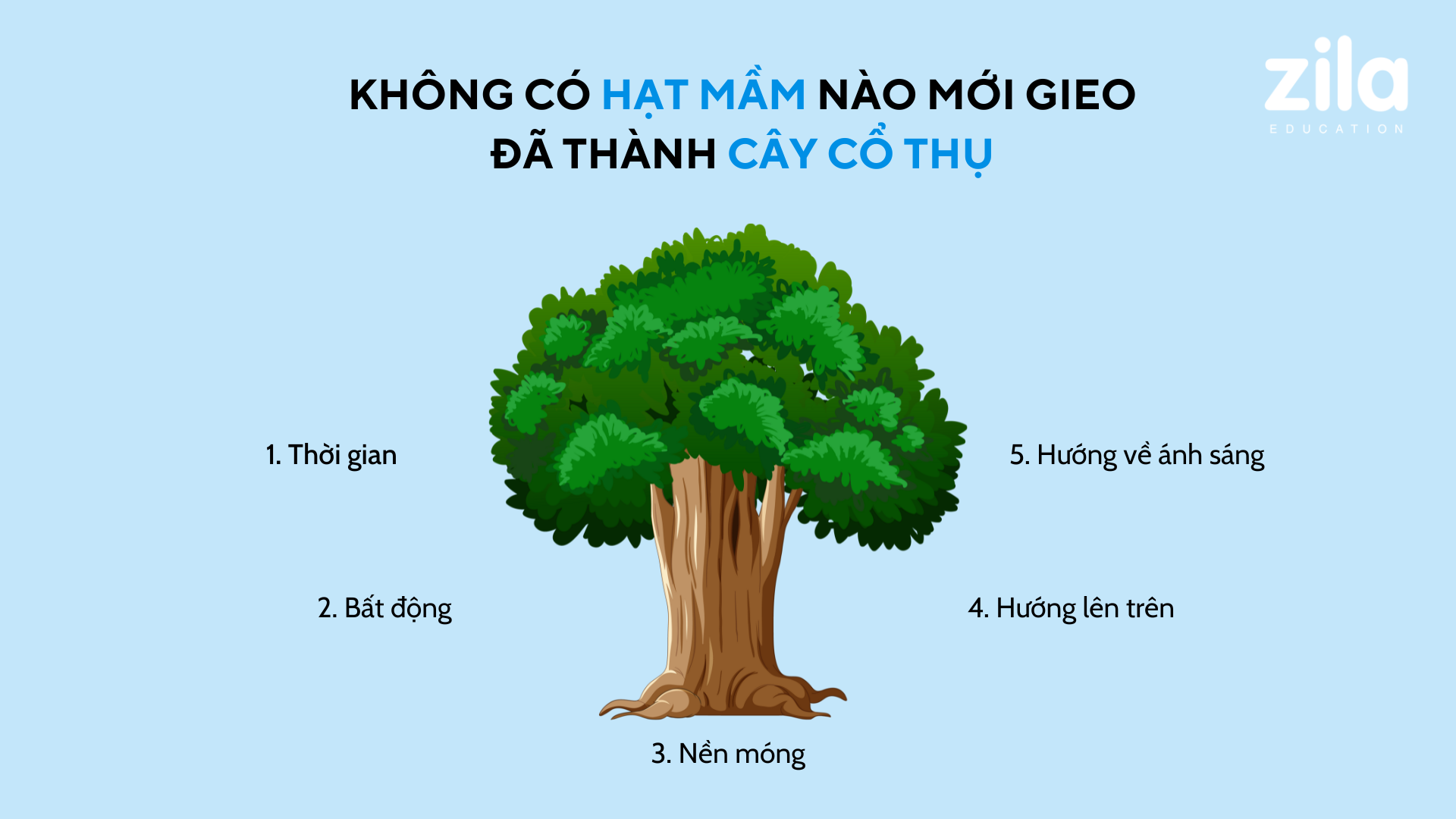 Không có hạt mầm nào mới gieo đã thành cây cổ thụ - Zila Education